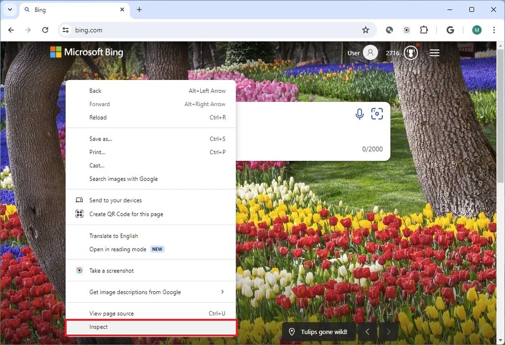 How to take screenshots on Google Chrome on Windows 10 and 11 | Windows ...