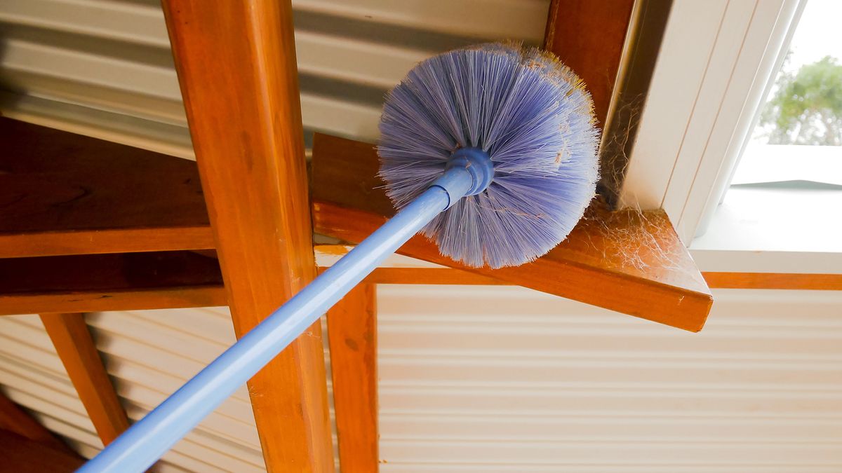 How to get rid of cobwebs and keep them away | Tom's Guide