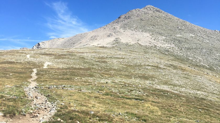What is a pika? Meet the adorable gatekeepers of the high country ...