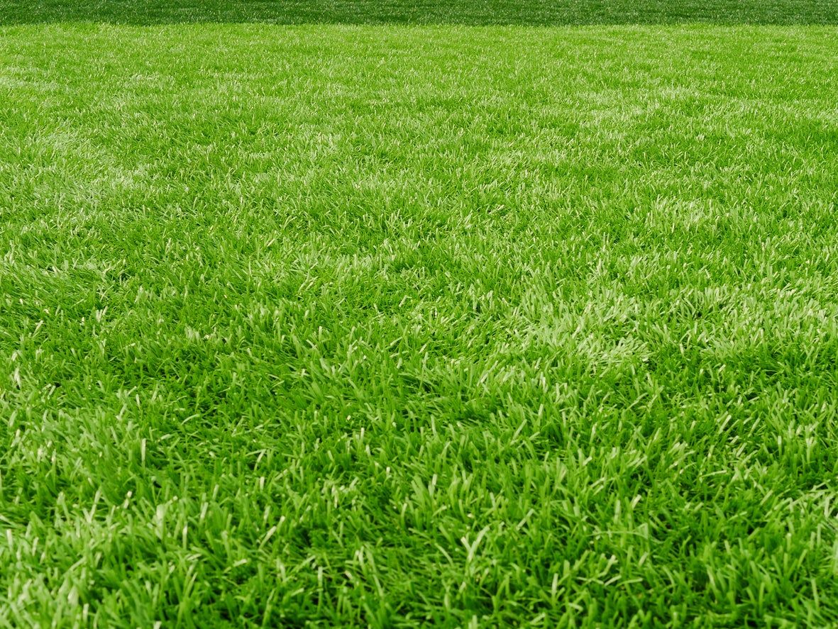 My Lawn pH Is Too High: Tips On How To Lower Lawn pH | Gardening Know How