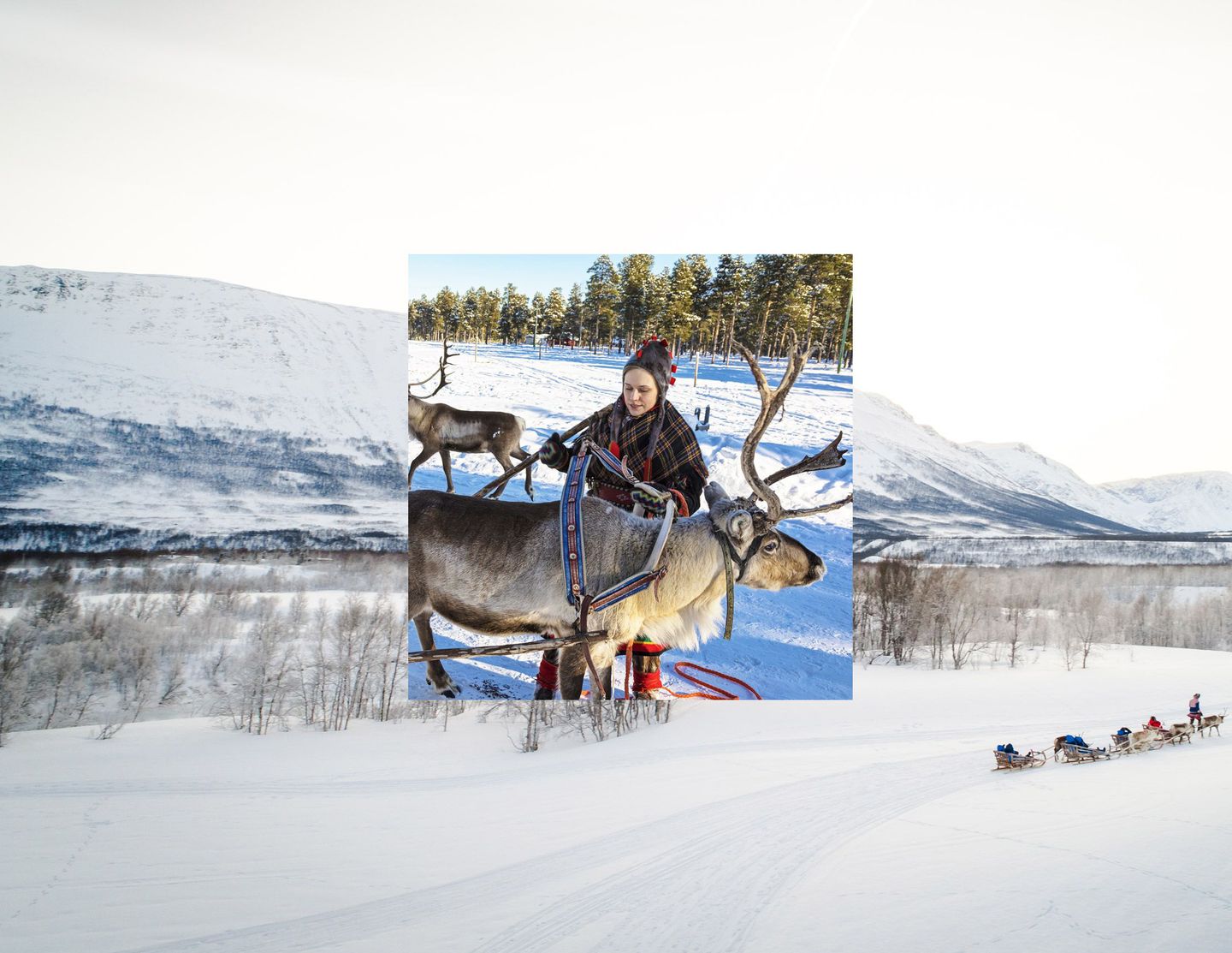 Sami Women, Indigenous Reindeer Herders, Are Fighting for Their ...