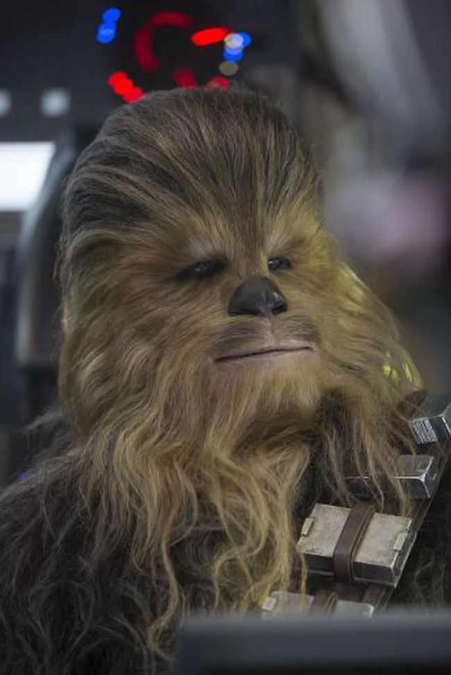 Peter Mayhew, Star Wars's Original, Iconic Chewbacca, Dies at 74 | Space