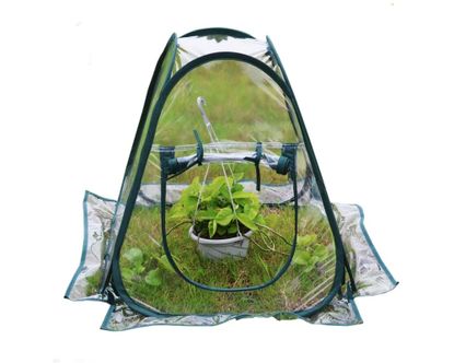 7 mini greenhouses to help shield your plants from the weather ...