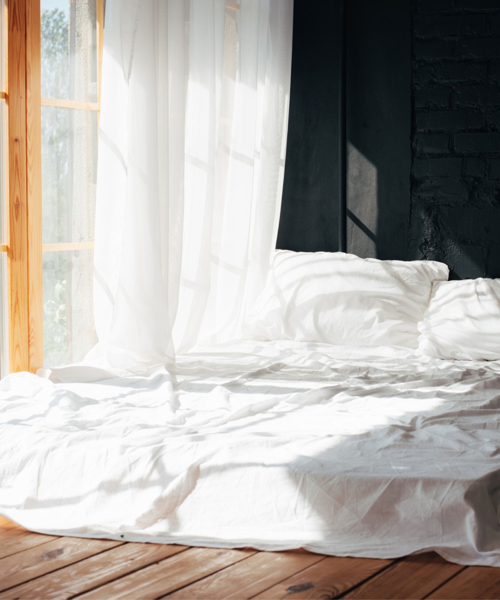 Why does my house smell musty? Plus, what to do to fix it | Homes and ...