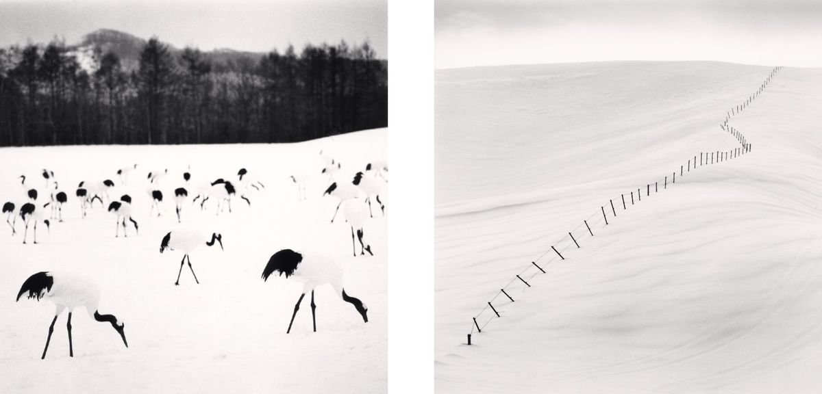 Michael Kenna's snow photography shows how 10-hour exposures can reveal ...