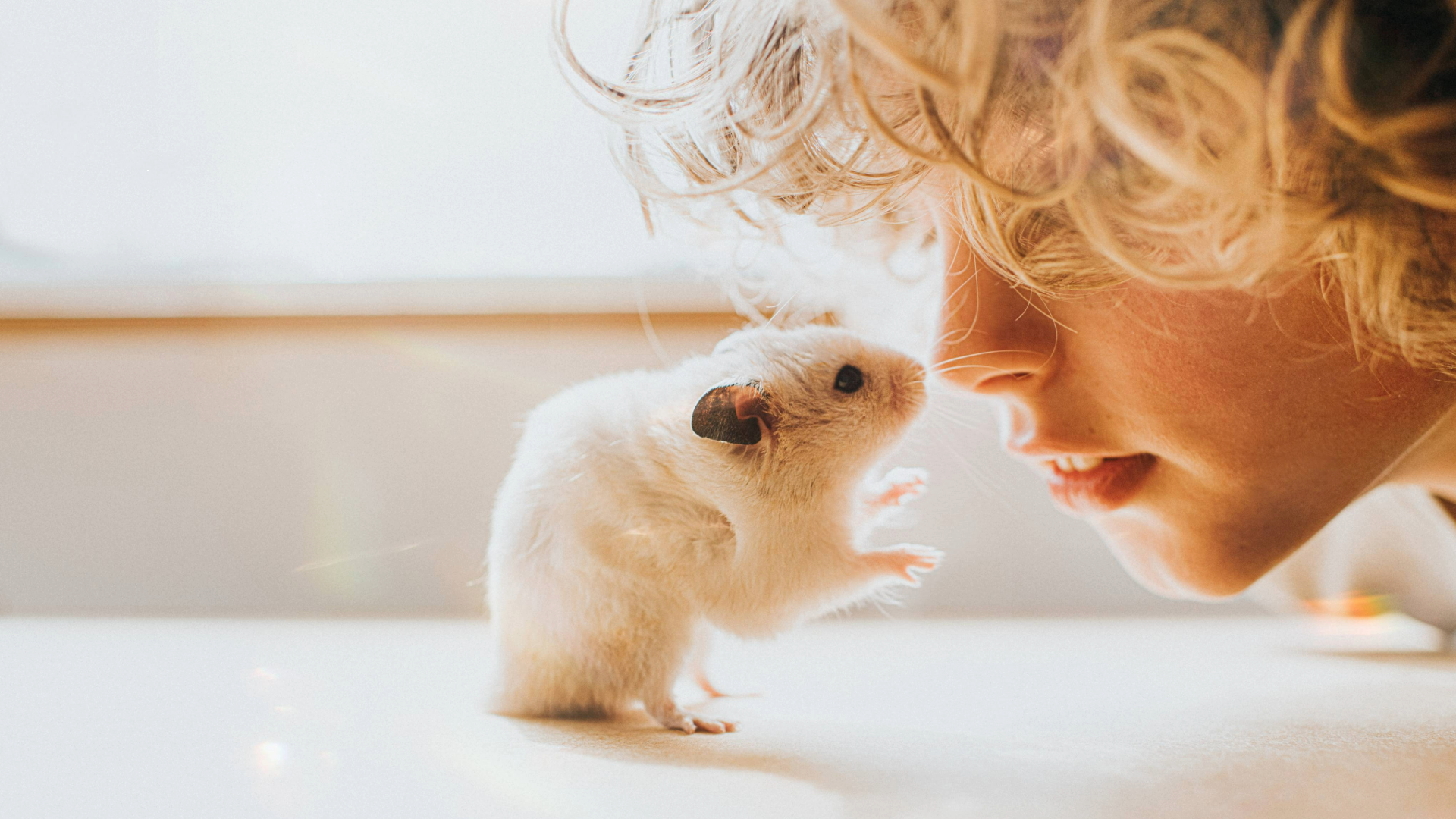 Do hamsters smell? 3 ways to get rid of bad odors | PetsRadar