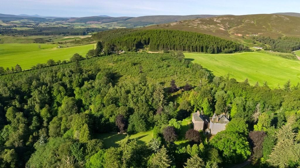 A nine-bedroom castle in Scotland for sale at just £400,000 — but you ...