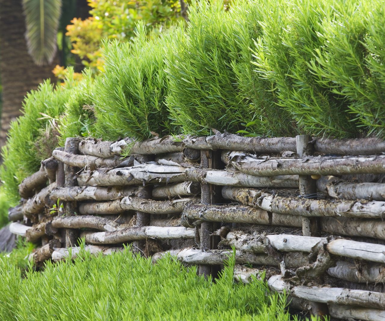 How to enclose a windy area of your yard? 9 stylish solutions | Homes ...