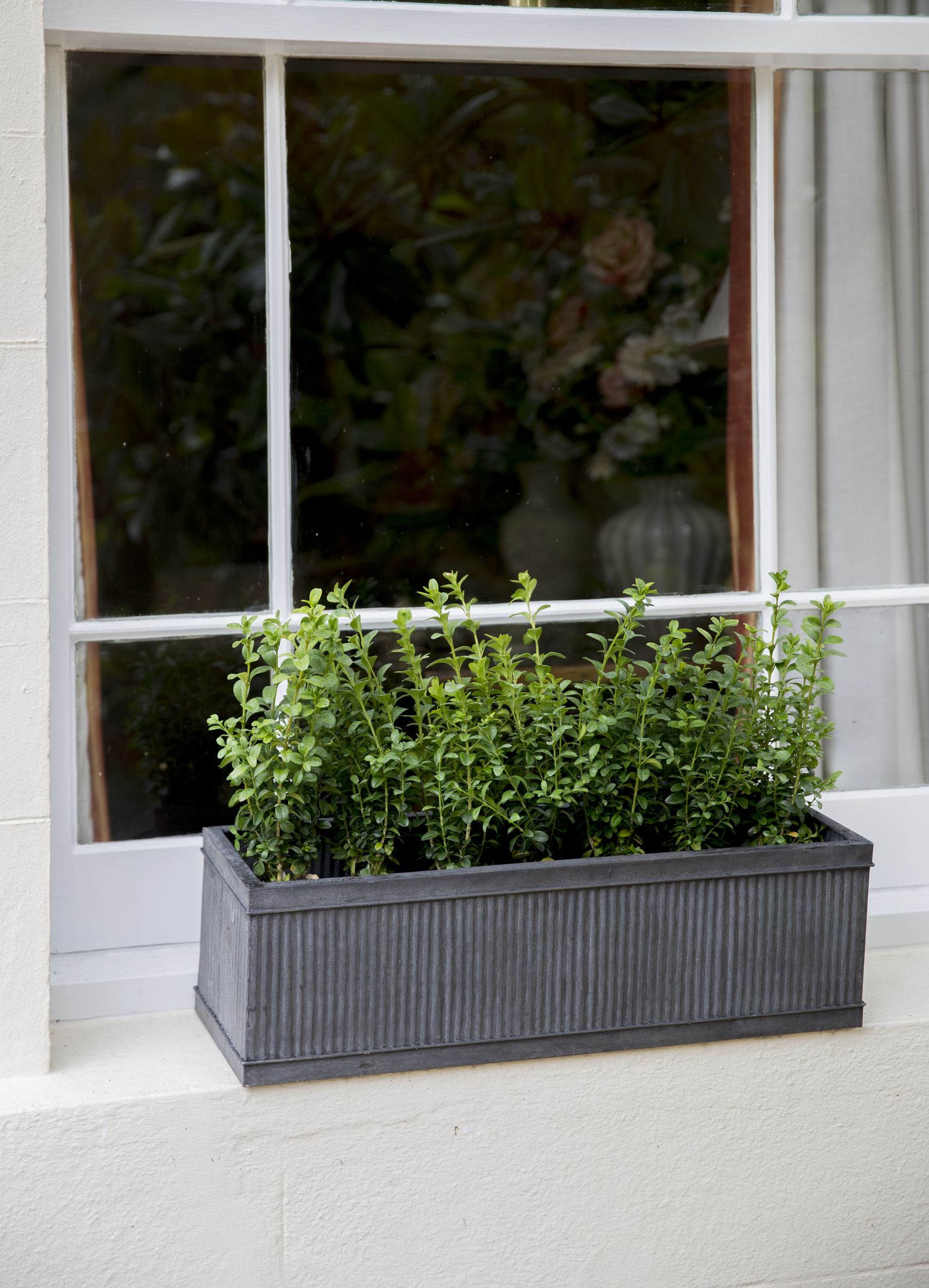 15 window box ideas – perfect planting tips for floral interest in all ...