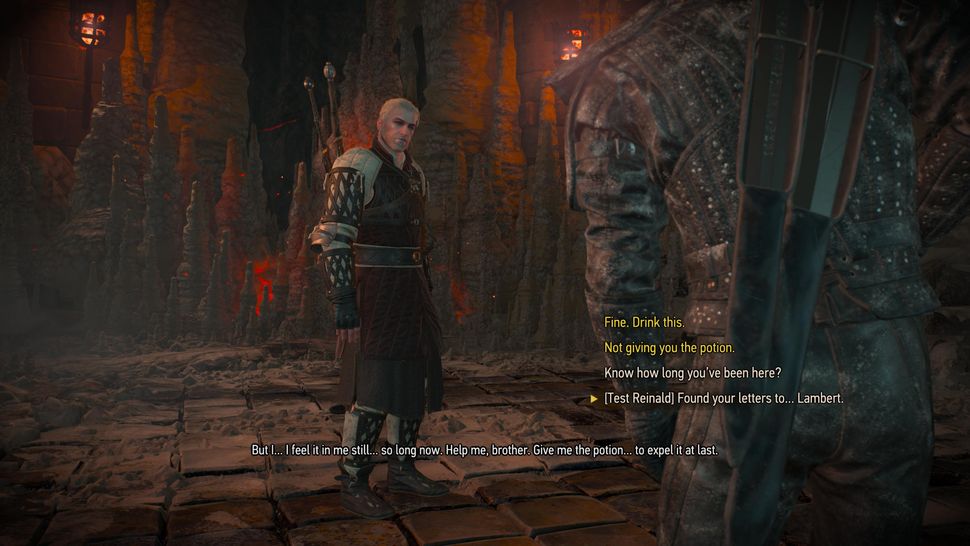 The Witcher 3: How to get the Witcher Netflix series armor | PC Gamer