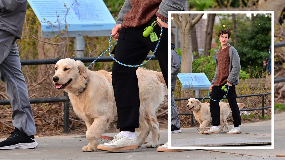 32 adorable pics of celebrities and their pets | PetsRadar