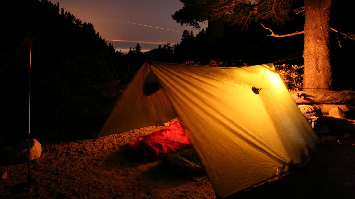 Five bushcraft skills everyone can learn | Advnture