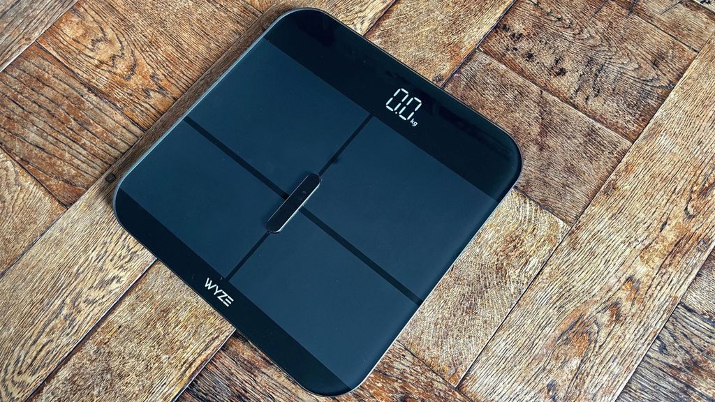 Best Smart Scales To Track Body Fat Percentage | Coach
