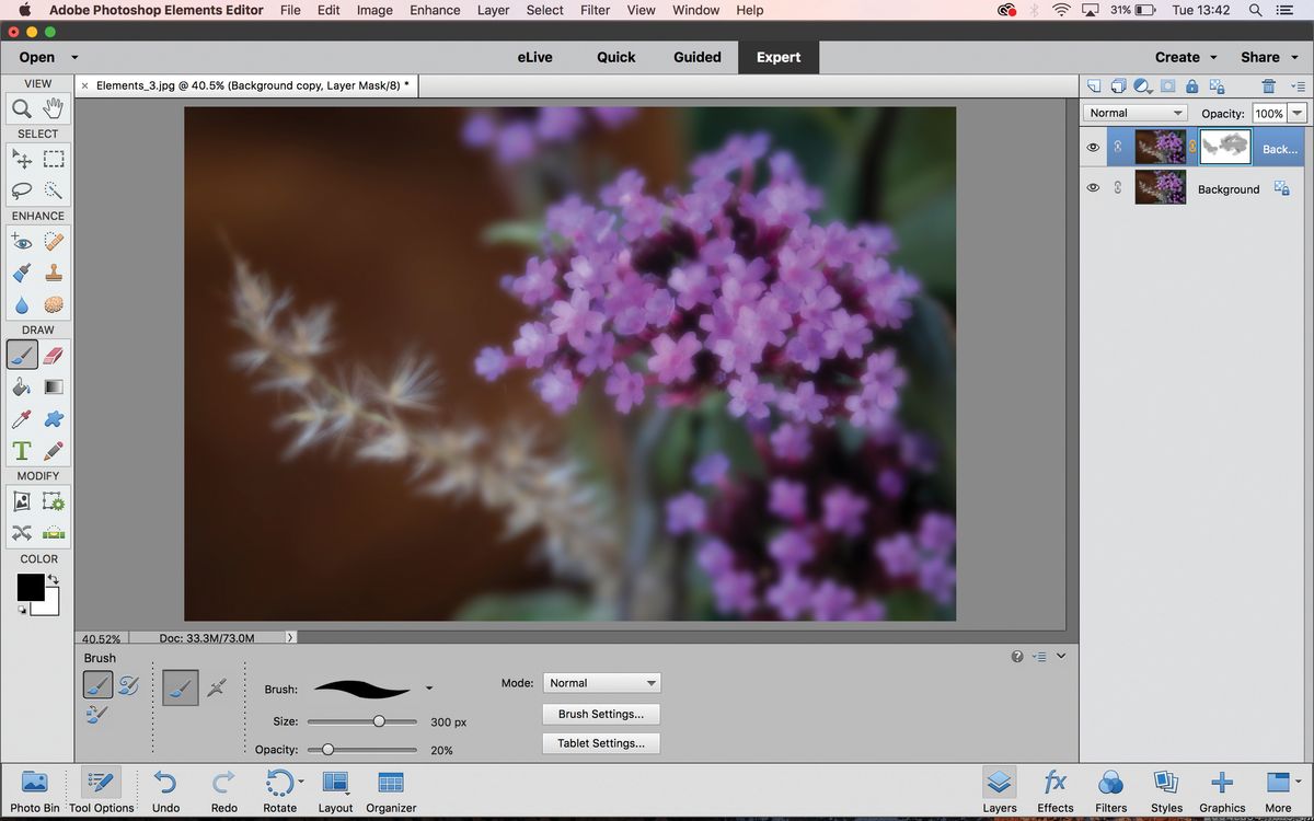 How to create a soft focus effect in Photoshop Elements | Digital ...