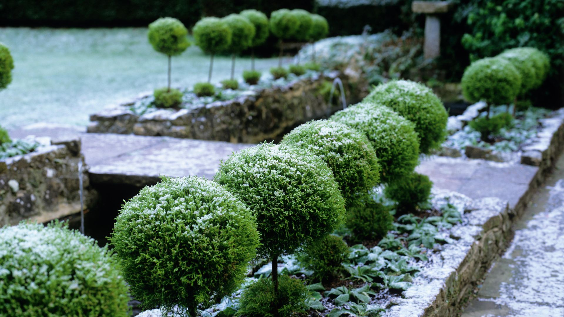 How to plan a winter garden – from planting to maintenance | Real Homes