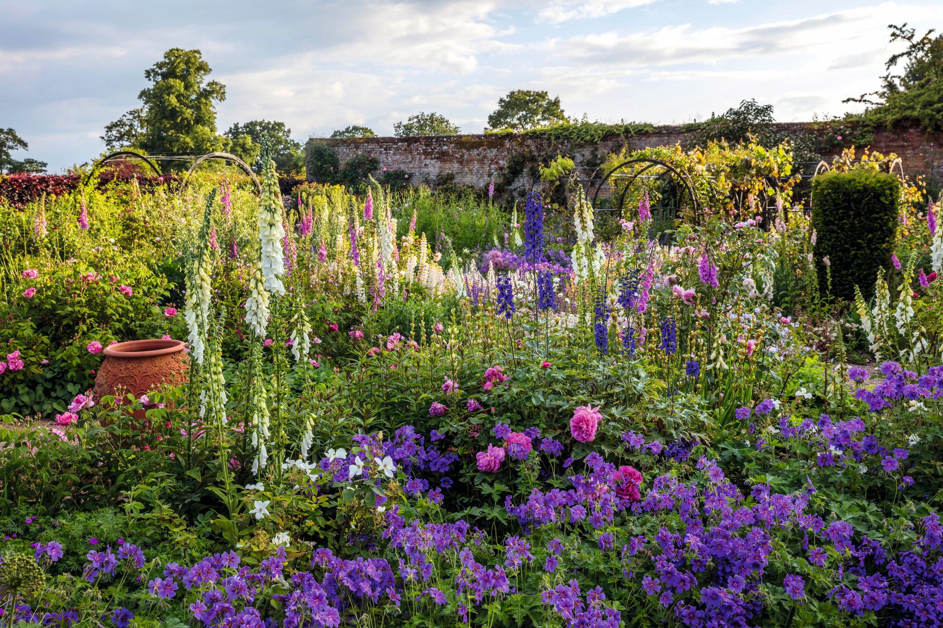 The 'Rose Labyrinth' of Coughton Court, where 200 varieties come ...