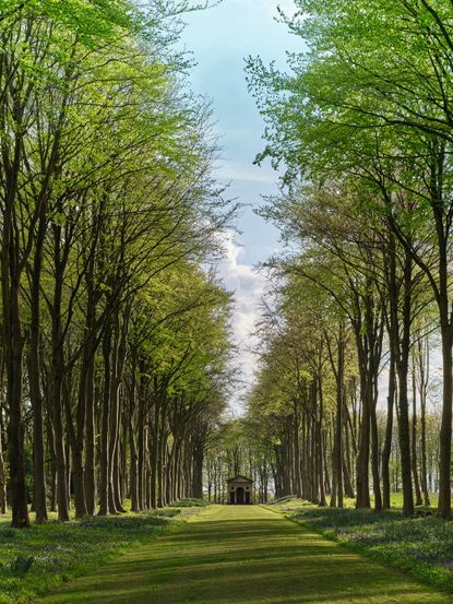 Nature and nurture in the gardens of Bramham Park | Country Life