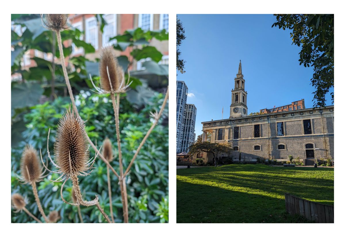 Google Pixel 8 review: simpler times | Digital Camera World