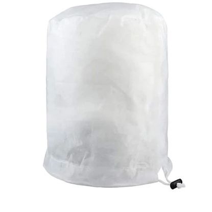 What is overwintering? Get to know this essential gardening trick ...