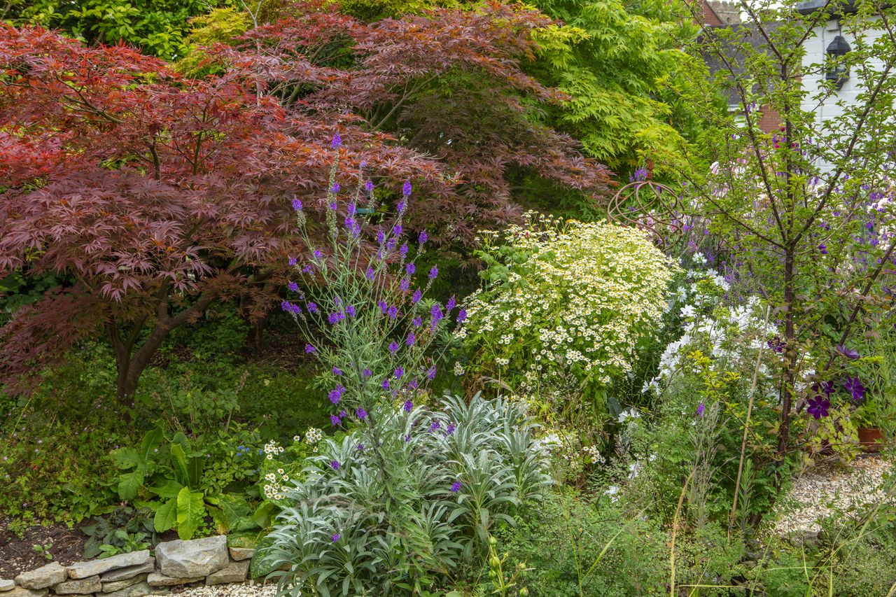 Real garden: enjoy this timeless cottage garden created on a budget ...