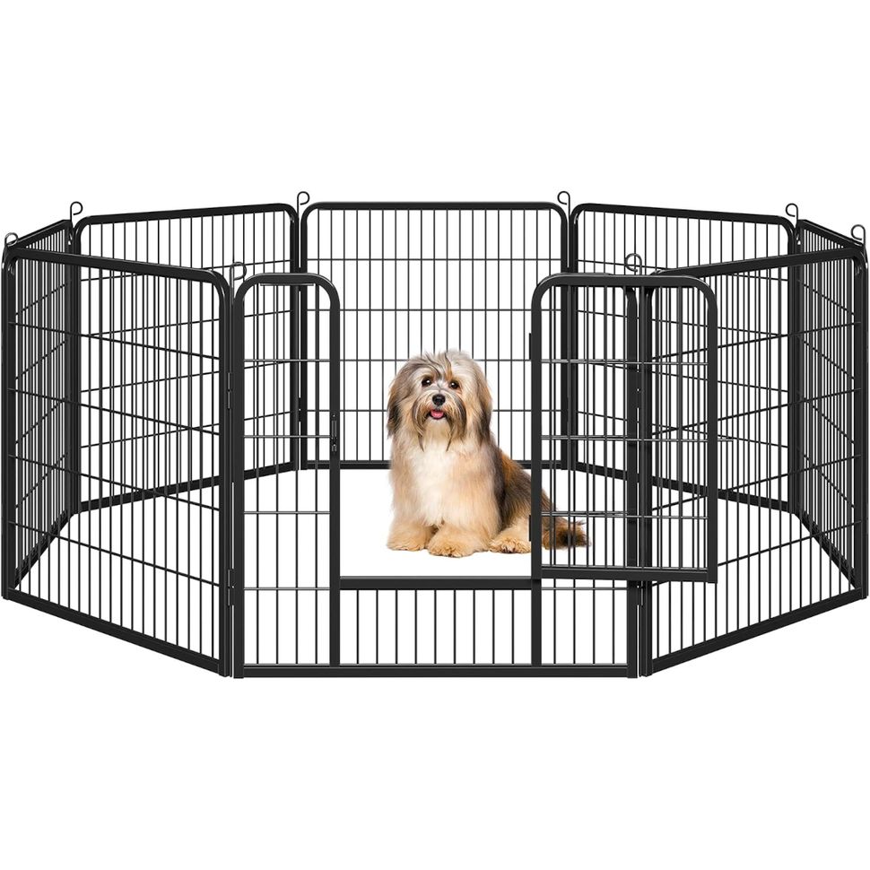 Best rabbit runs 2024 to let your bunny stretch their legs | PetsRadar