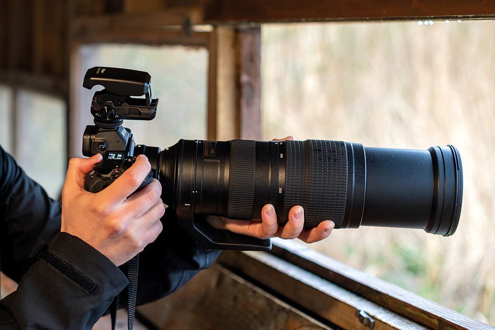 How to use the Nikon DF-M1 dot sight for bird photography | Digital Camera World