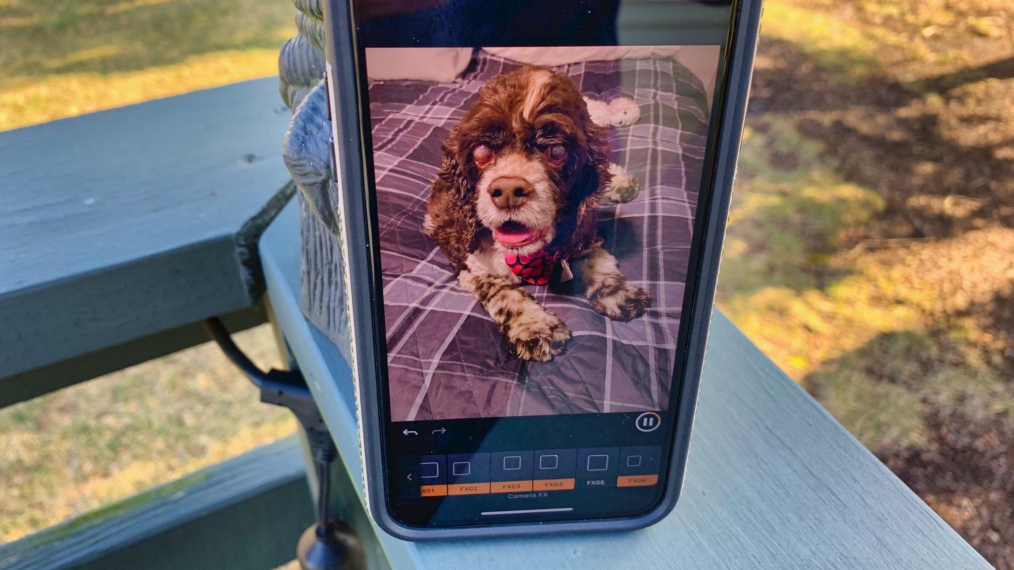 Enlight Pixaloop: 3D Motion adds another photo effect to popular app ...