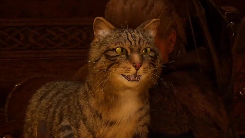 Yes, you can pet the hefty Viking cats in Assassin's Creed Valhalla ...