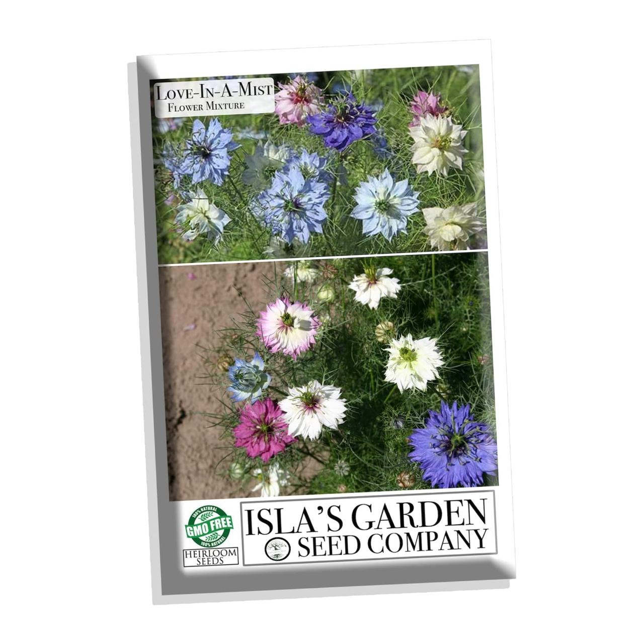 6 Self-Seeding Plants You Should be Growing in Your Backyard for a ...