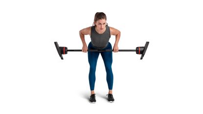 Bowflex SelectTech 2080 Barbell with Curl Bar review: the best ...