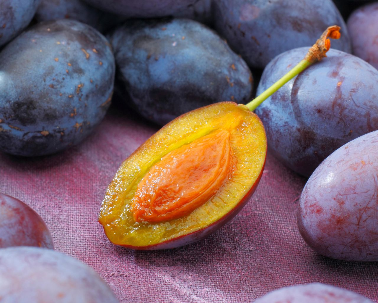 How to grow plums: tips on planting, growing and caring for plum trees ...