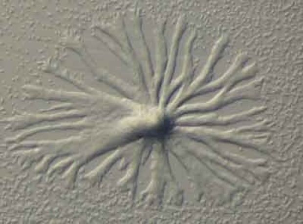 Space Gets Slimed: New Satellite Will Monitor Mold Growth in Space | Space