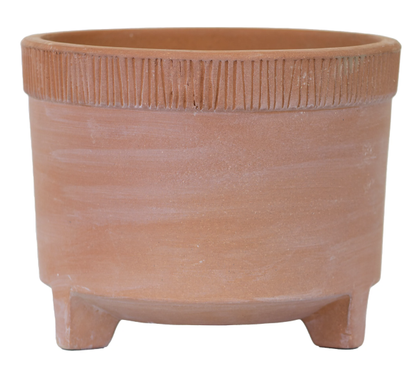 An expert on the best color pots for indoor plants | Livingetc