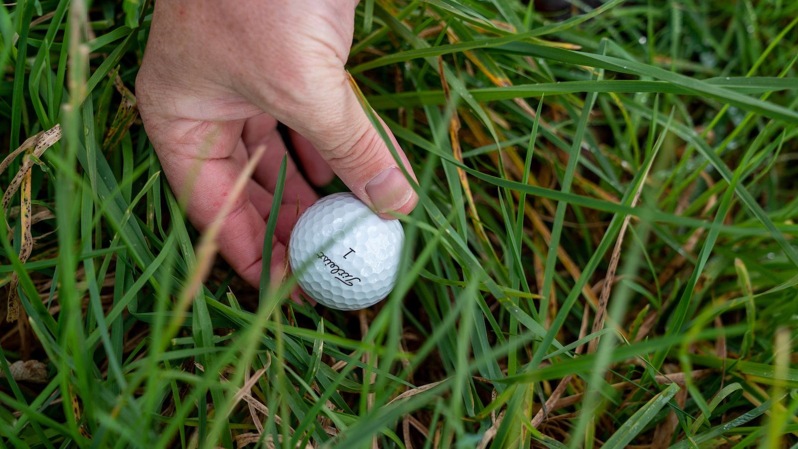 Doh! Picked Up Your Ball By Accident? Here's What You Need To Do | Golf ...