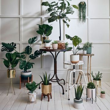 New Year Primark homeware range filled with botanicals & faux plants ...