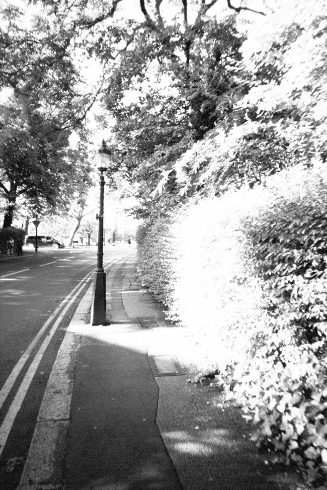 Flashback One35 review: the disposable film camera experience – but 100 ...