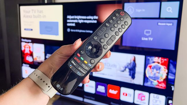 Don't get scammed: Here's how to buy the right replacement remote for ...
