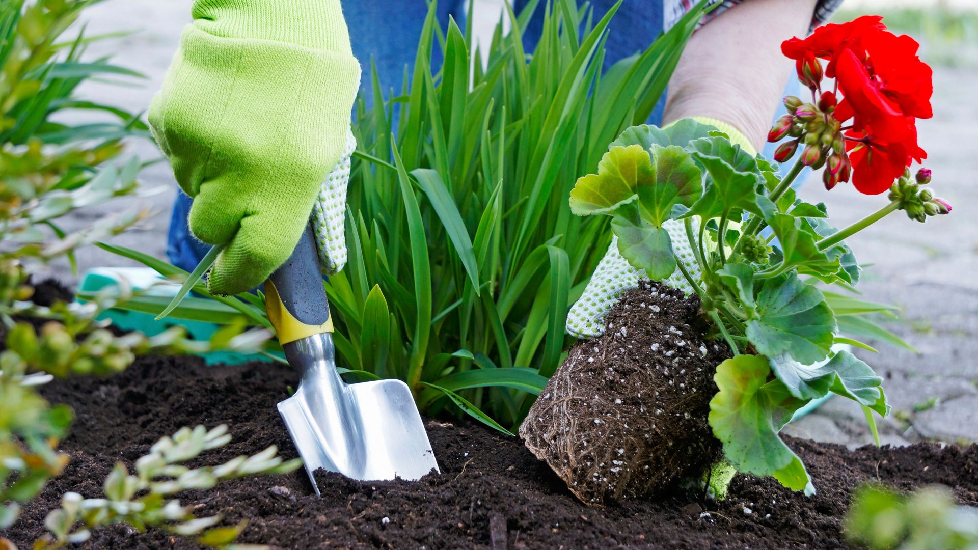 Guide to soil types: discover the best plants for your plot | Gardeningetc