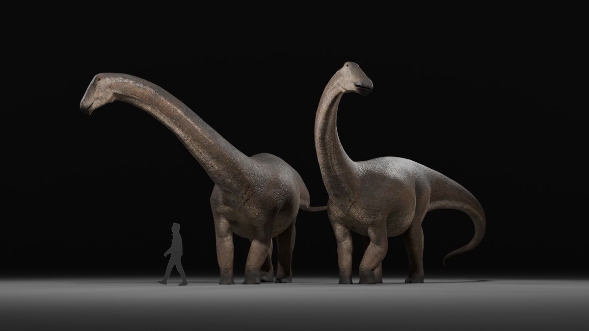 Gargantuan 'star lizard' was one of the last (and largest) dinosaurs of ...