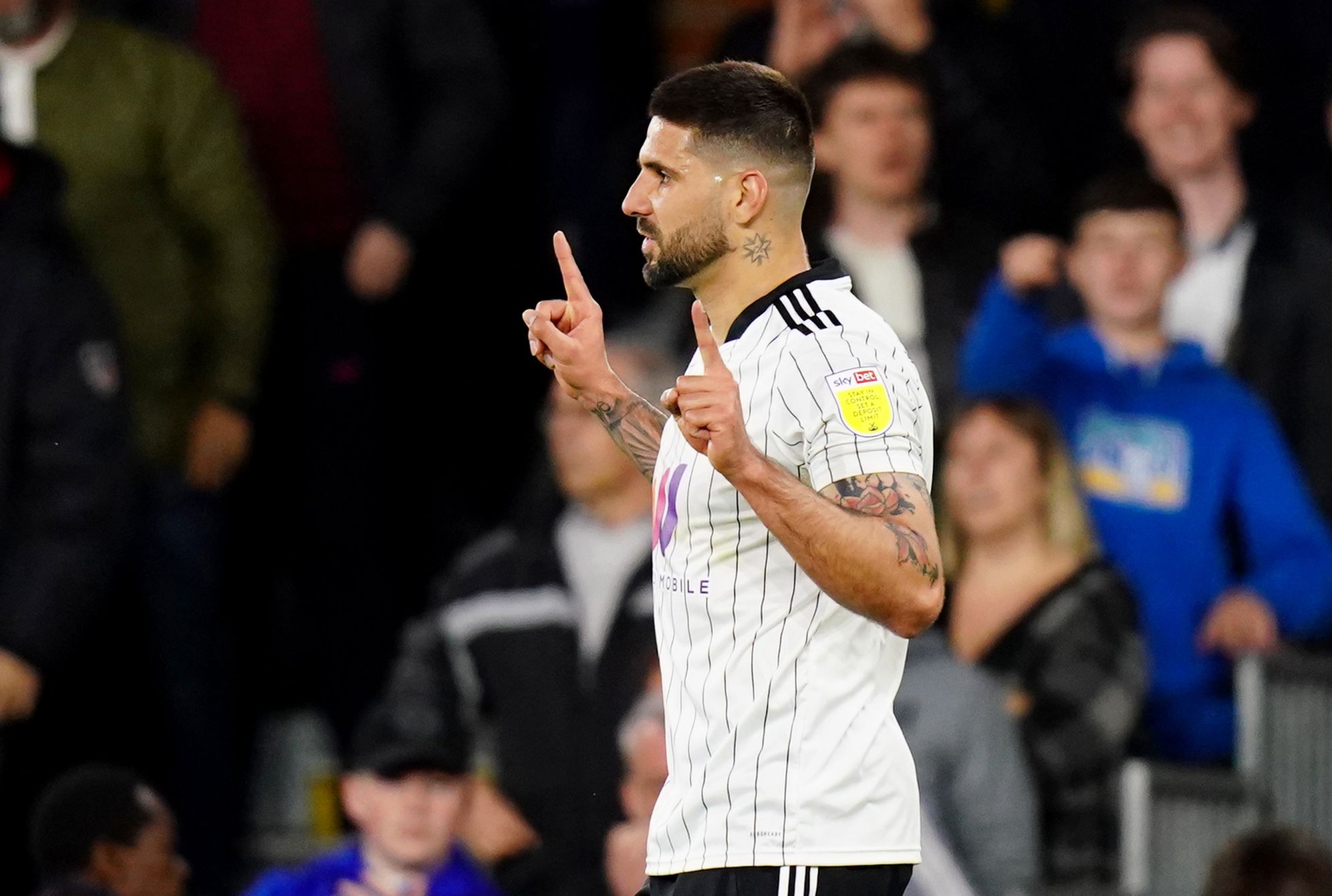 Fulham seal promotion as Aleksandar Mitrovic reaches 40-goal mark ...