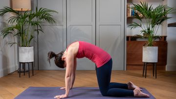 10 yoga stretches for beginners to boost your flexibility | Fit&Well