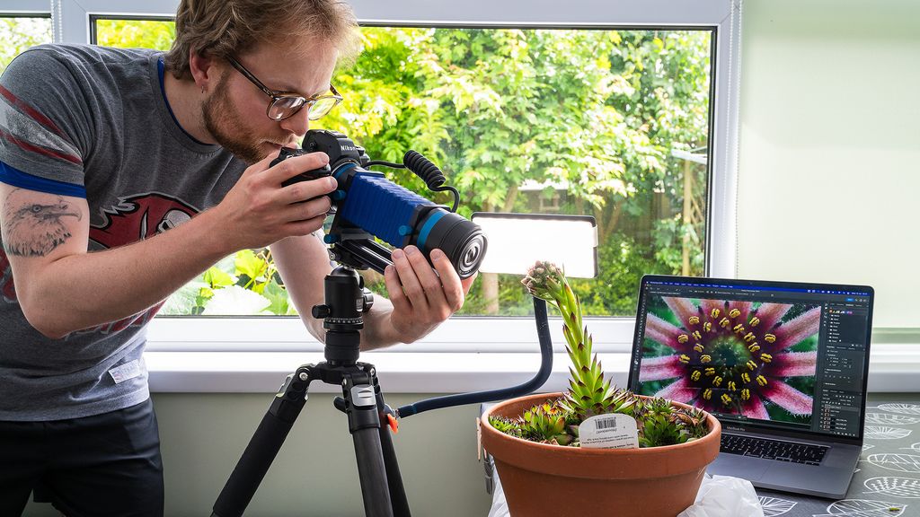 I used macro bellows on my camera for the first time to photograph an ...