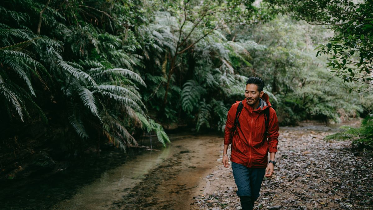 Hiking in the jungle: prepare for the adventure of a lifetime | Advnture