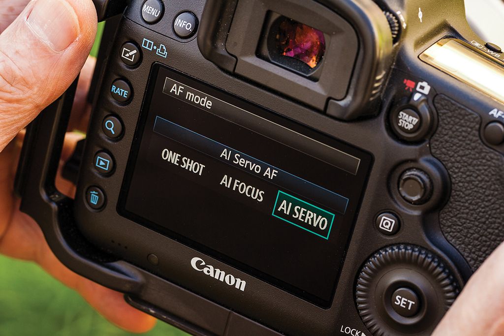 50 Canon camera tips: Everything you need to get the best out of your ...