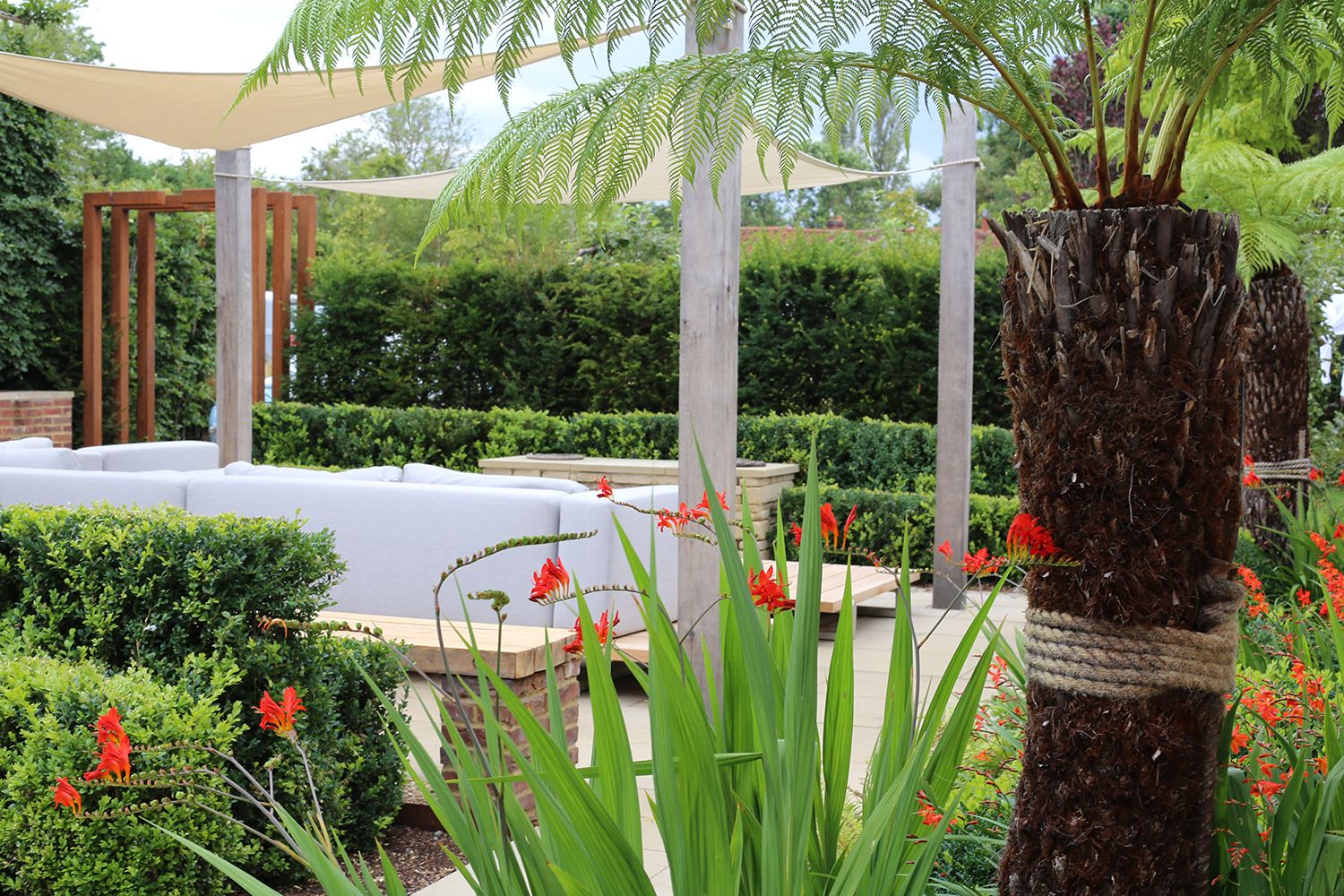 How to choose plants for your modern garden: 10 designer tricks that ...