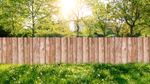 Neighbor's tree blocking sunlight? Here's what to do | Homes and Gardens