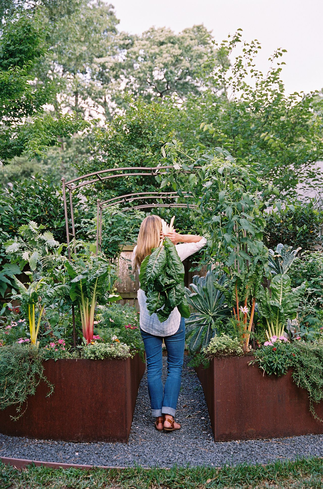 Planning a kitchen garden: from layouts to the best crops | Homes and ...