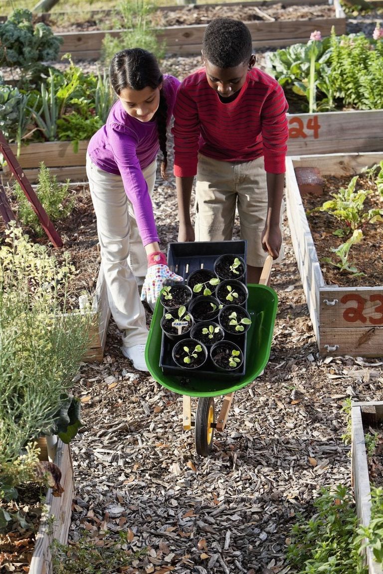 Learning Garden Ideas - How To Make A Learning Garden | Gardening Know How