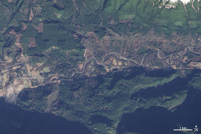 Washington State's Fatal Landslide Seen from Space (Photos) | Space