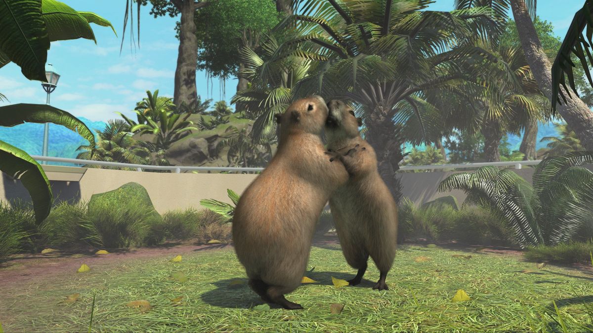 Zoo Tycoon for Xbox One review: A pleasant experience, when it wants to ...